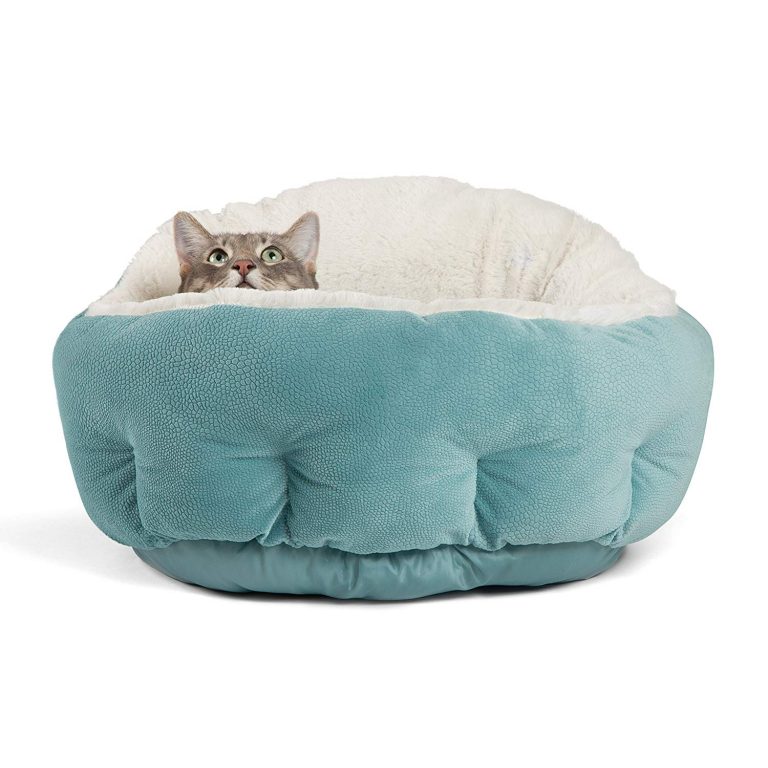 Best Cat Beds – petsKB