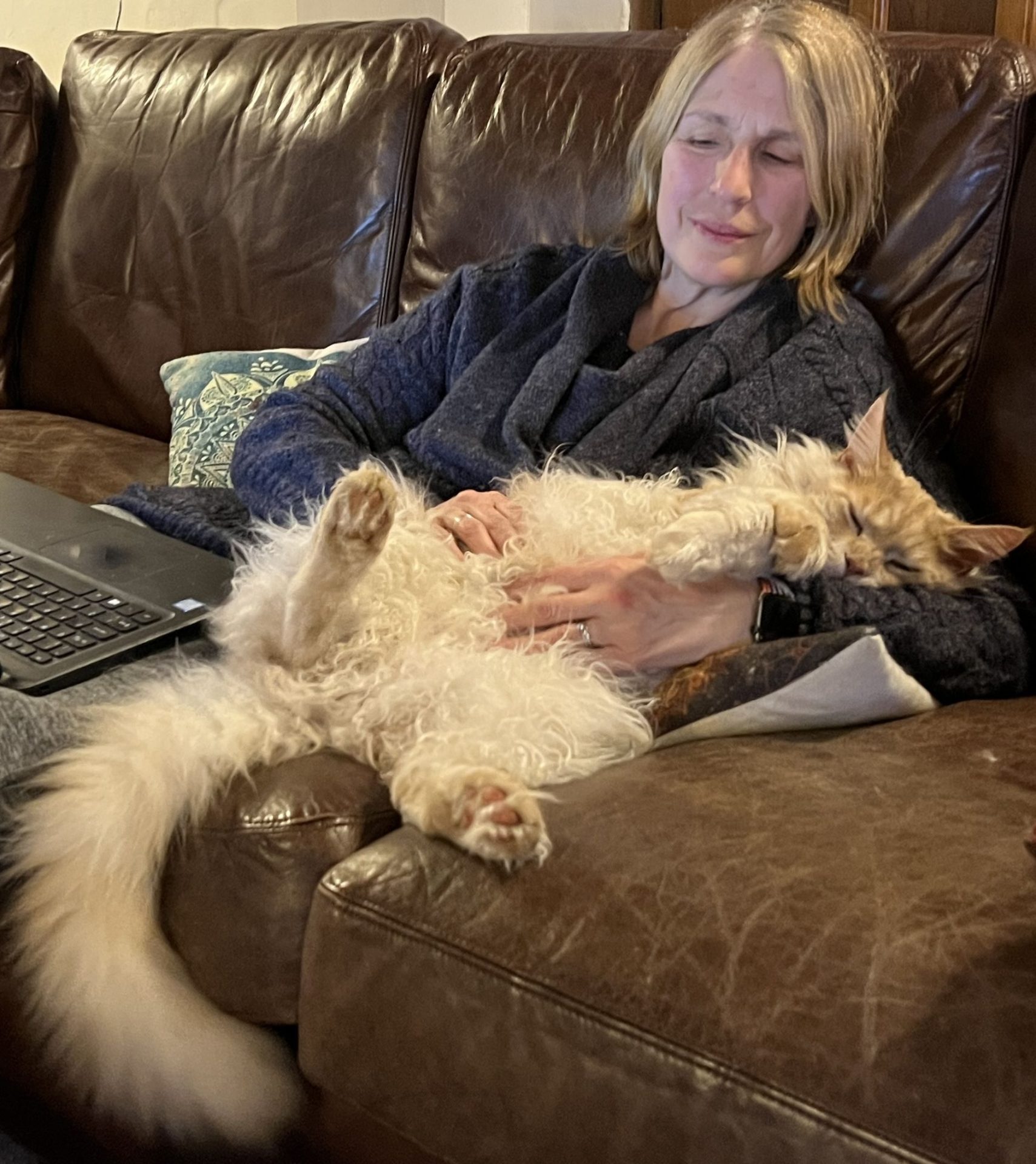 Maine Coon Paws: Fabulous, fluffy facts – petsKB